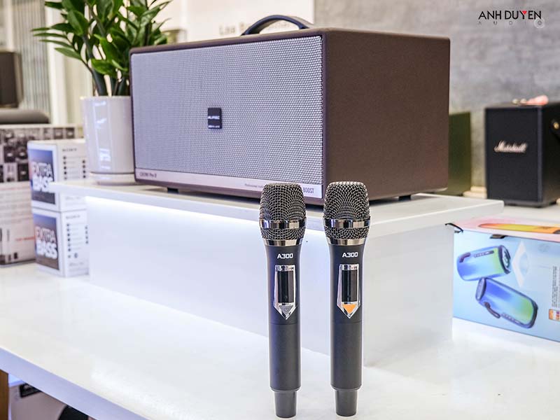 Loa Karaoke Mini Xách Tay Aurec CH390 Pro II - AnhDuyen Audio